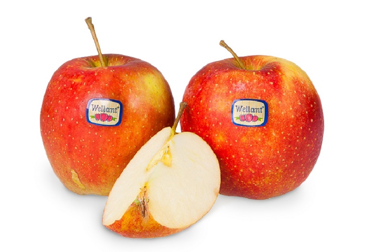 Koop Hollandse Wellant appels bij de Specialist - Groentebroer.nl